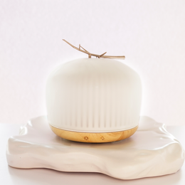 Twig Premium Ultrasonic Diffuser – Fruik: Pure Essential Oils